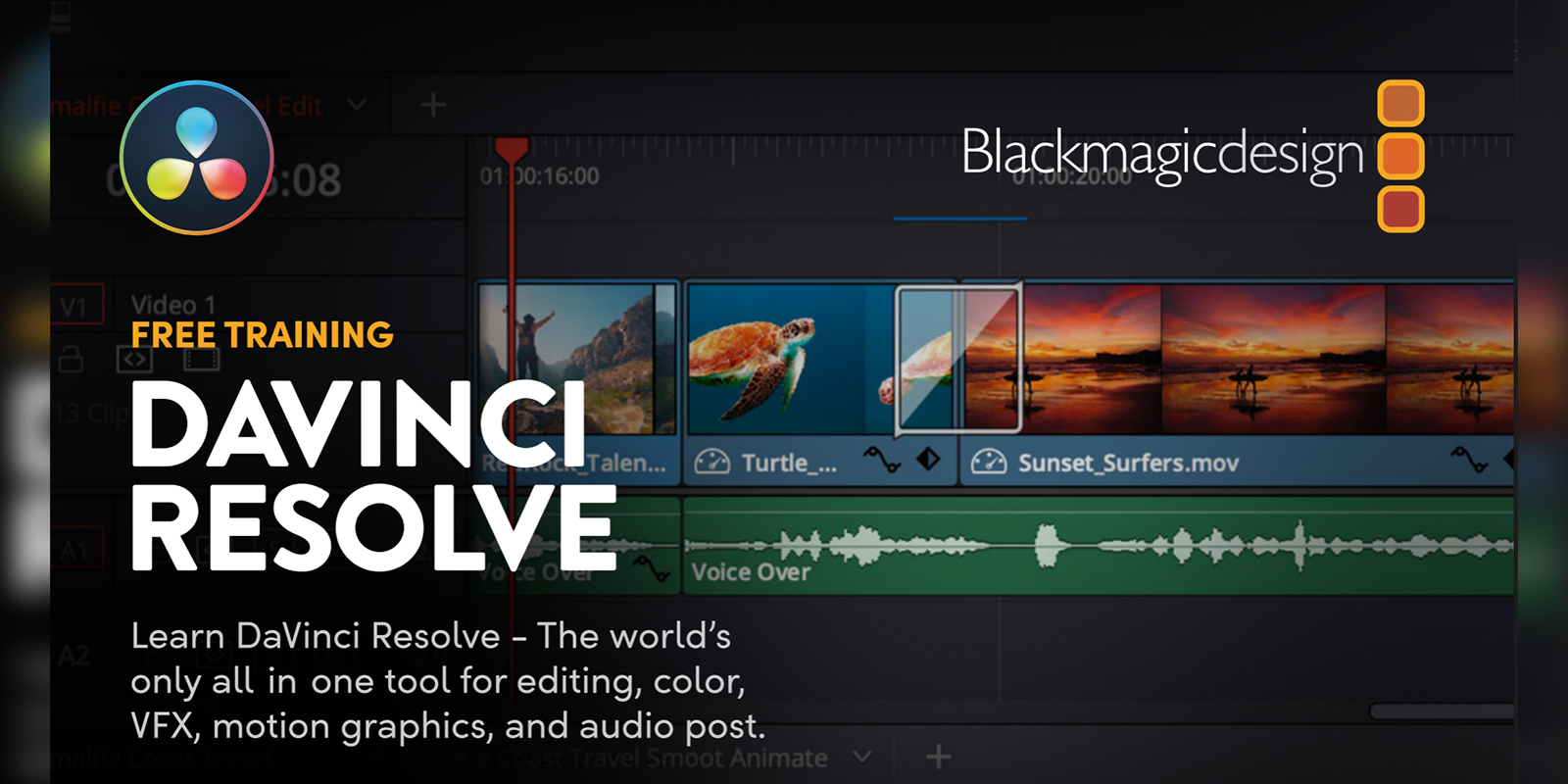 Blackmagic Design offers free DaVinci Resolve public training webinars